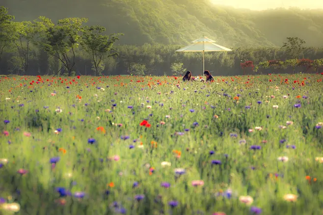 Photograph An Afternoon in the Park by Scott Rotzoll on 500px图片_1图片素材-花瓣网