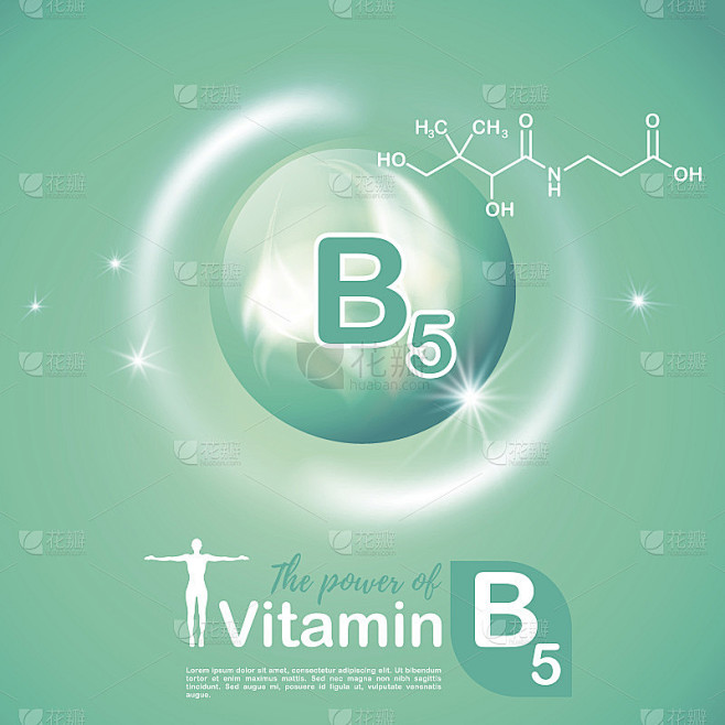 营养标志的概念。维生素B5的力量。Сhemical公式