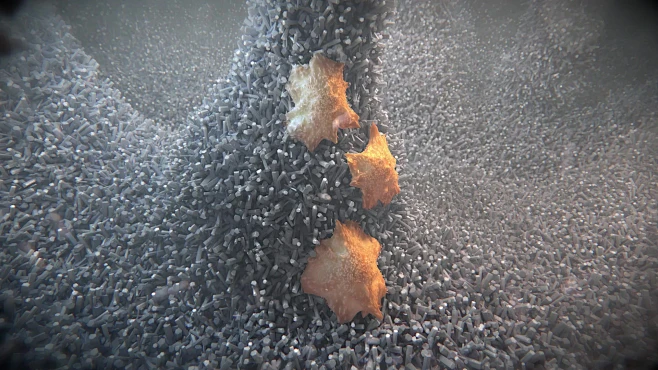 Visualizing New Bone Graft Technology With Houdini and Redshift : How ...