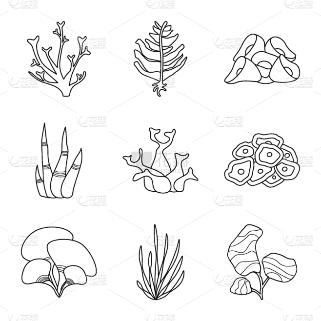 海洋,符号,生物学,华丽的,野生动物,植物群,草,装饰物,收集,设计