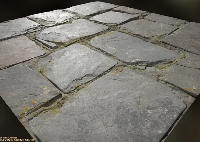 Paving Stone Study, Myles Lambert : Taking time to get back to basics ...