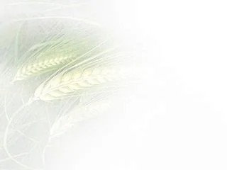 ppt背景图片_360图片-花瓣网