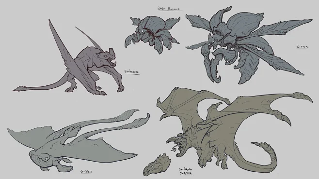 Flying Creatures-花瓣网