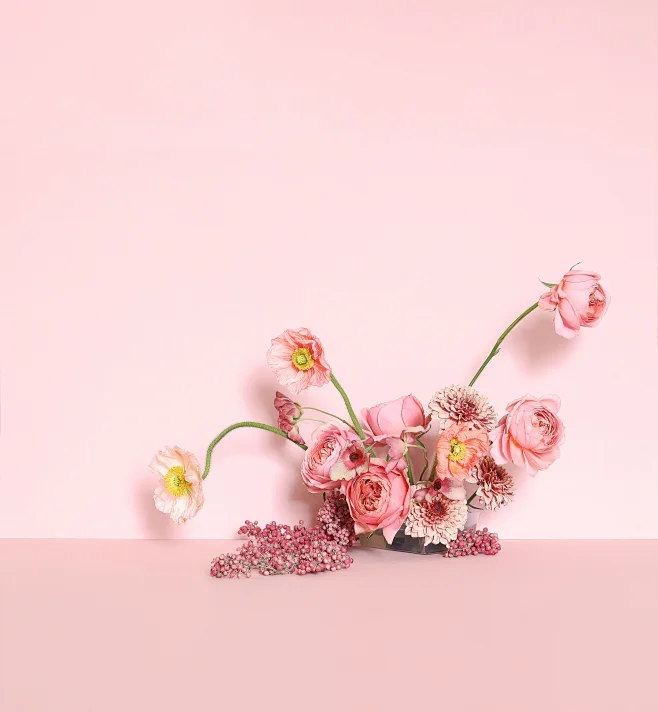 FLOWER FUN 10.jpg-花瓣网
