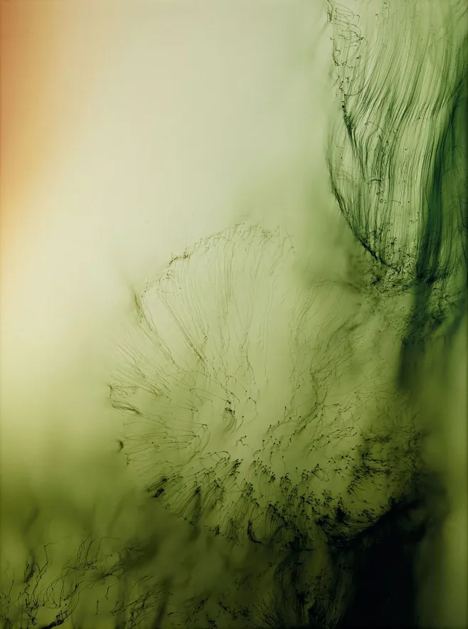 (121) Pinterest-花瓣网