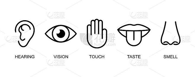 一套代表人类五种感官的图标:听觉、视觉、触觉、味觉、嗅觉。简单的线条图标:耳朵、眼睛、手、嘴巴、舌头
