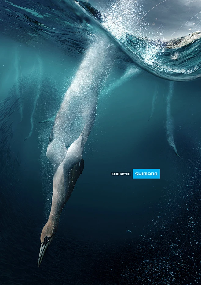 Top Creative Work On Behance : Showcase and discover creative work on ...