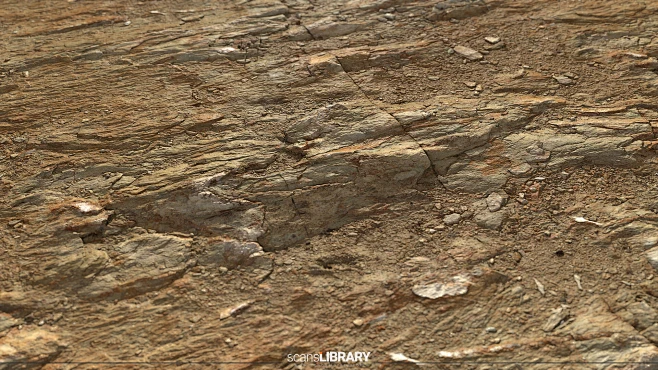 Yellow Rocky Surface-花瓣网
