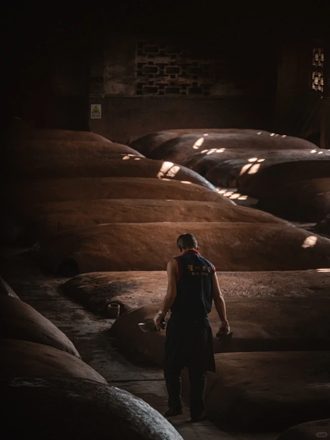 泸州市中心值得走走的在地历史文化-花瓣网