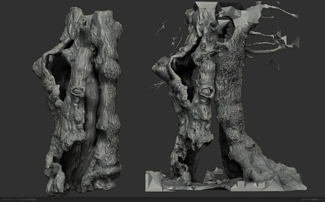 Old Tree Study-花瓣网