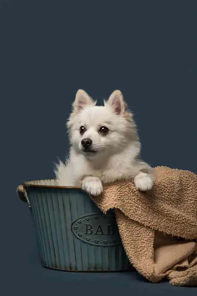 71de55561deca71655cdf6dafe792983 (1335×2000)-花瓣网