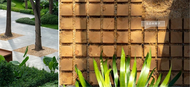 001-19-qzn-花瓣网