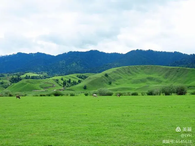 那拉提草原_百度图片搜索-花瓣网