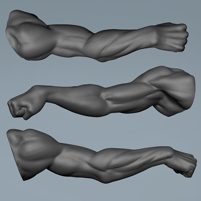 Male Arm sculpts