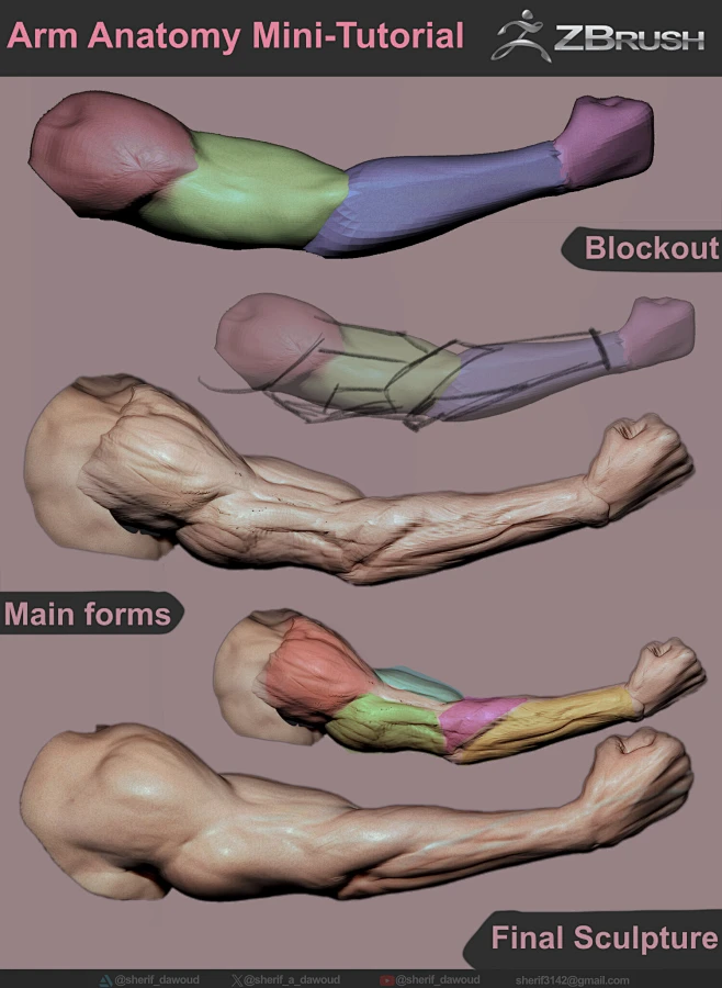 Anatomy Mini-Tutorials vol.1 Arms and Legs-花瓣网