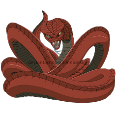 【角色】-火影忍者-花瓣网|陪你做生活的设计师