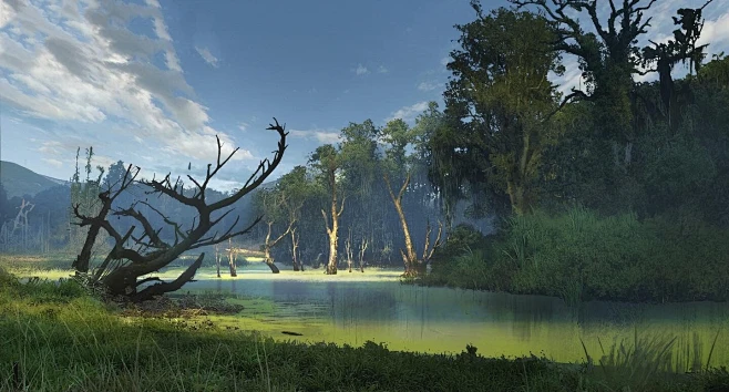 Swamp Concept-花瓣网