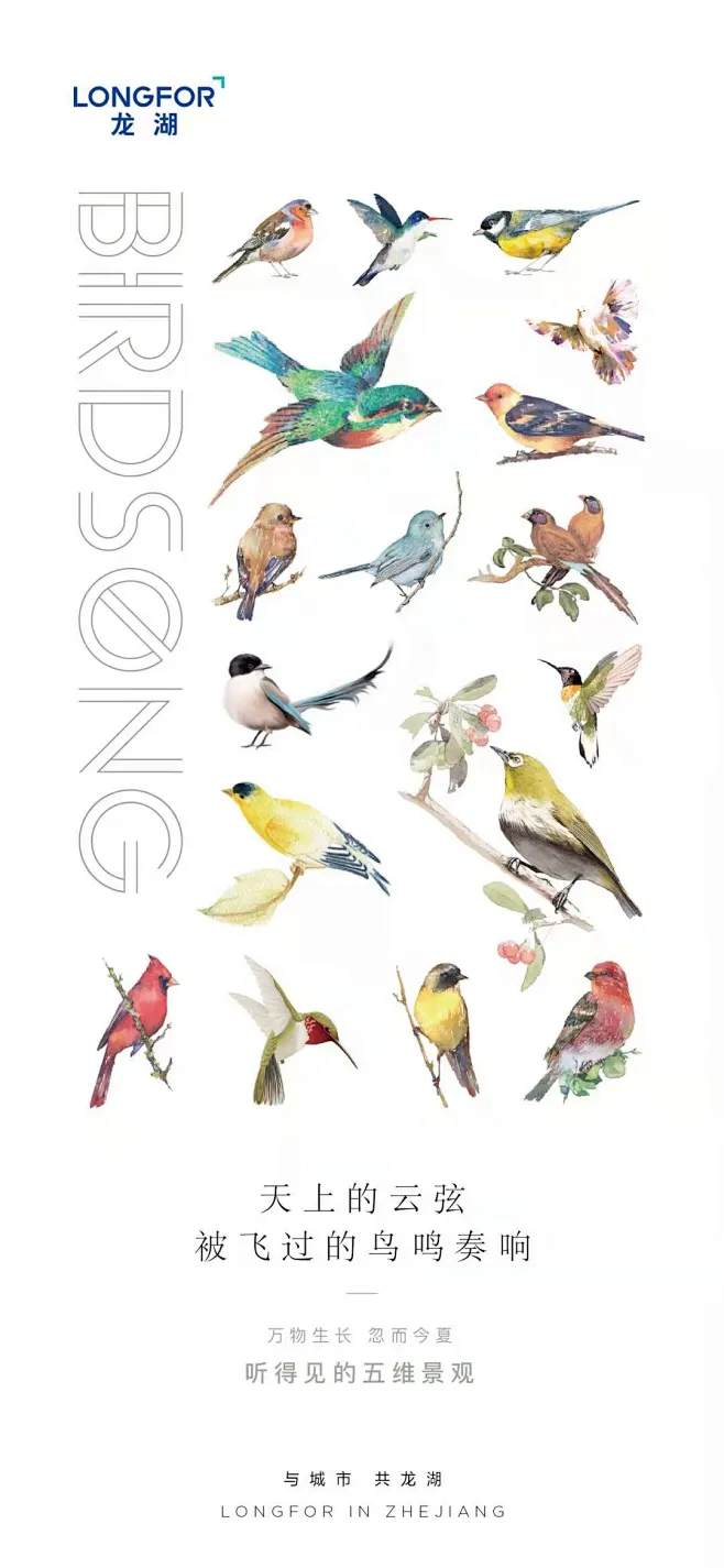 花瓣灵感详情页-花瓣网