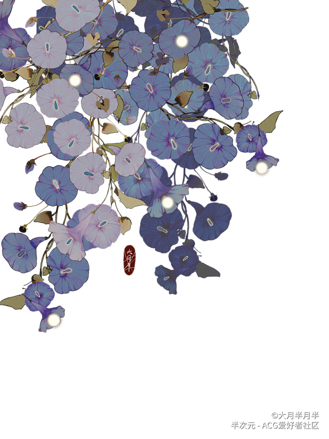 新的花，使用规矩和之前一样嗷。懒得打了。 - 半次元 - ACG爱好者社区