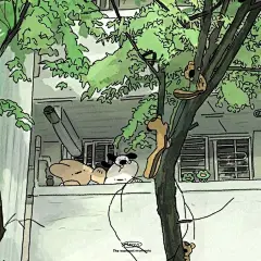 rabbit rabbit illustration IP design IP cartoon rabbit Rabbit cartoon ...