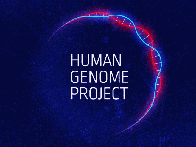 human-genome-project-large (800×600)