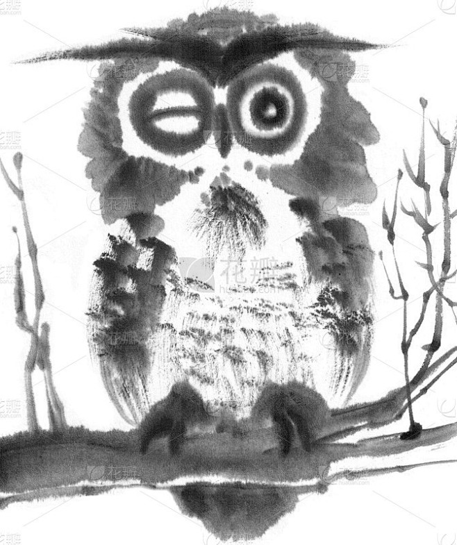 插图与猫头鹰墨水。黑白墨绘图像。