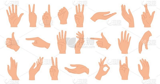 手的姿势。女性的牵手和指指点点，手指交叉，握拳，和平和大拇指向上。卡通人物手掌和手腕矢量集