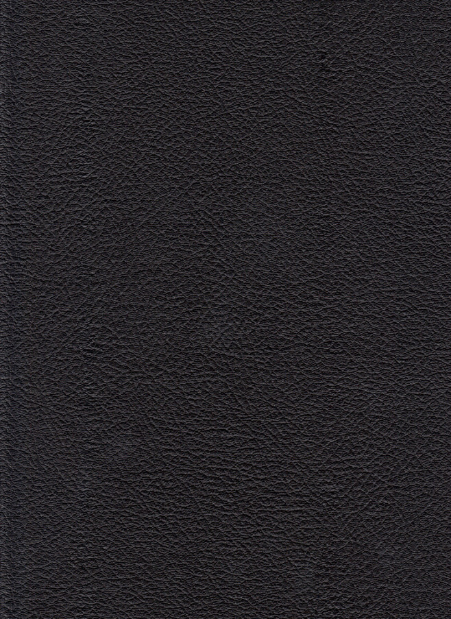 black leather texture : Can be inverted for a lighter texture. :)
