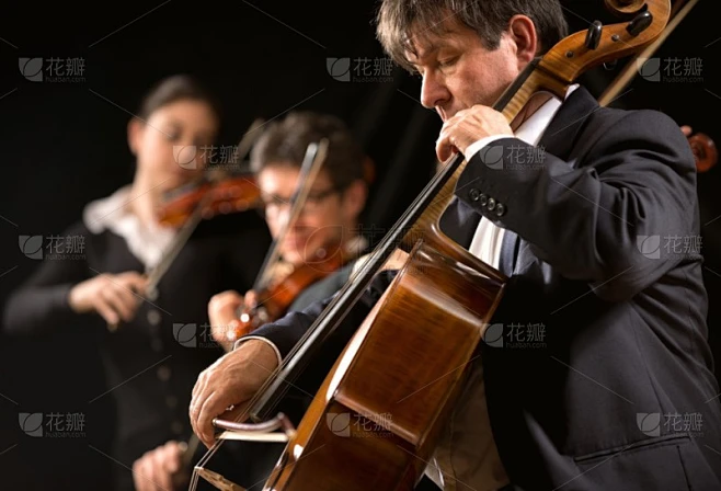 交响乐队的演奏性能： celloist 特写-花瓣网