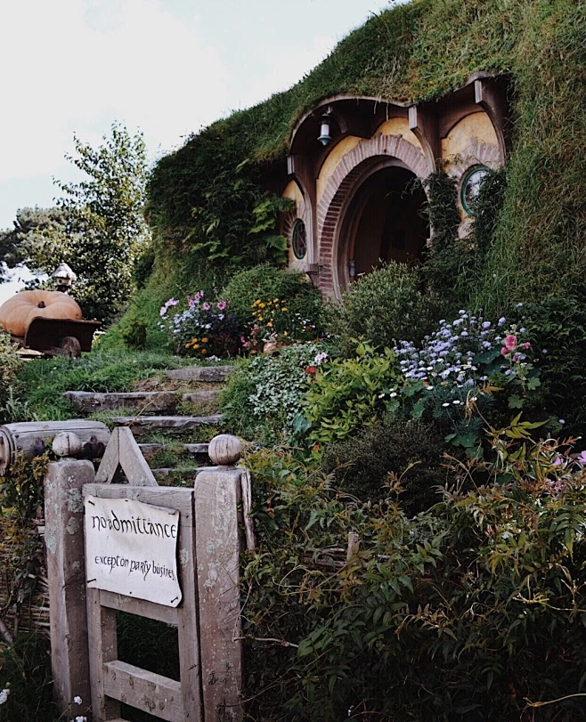 花瓣灵感详情页-花瓣网