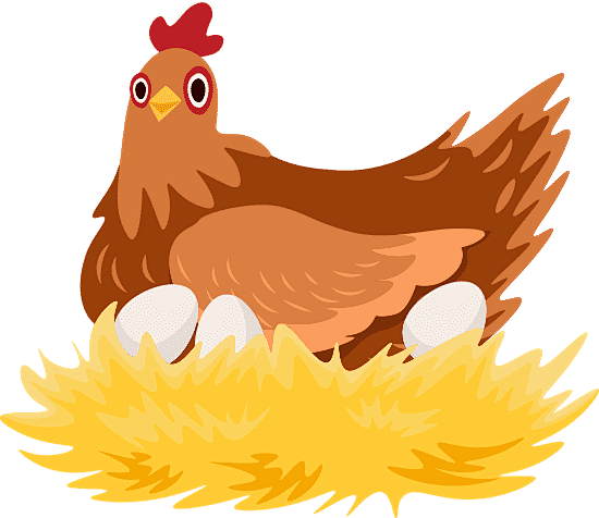Hen