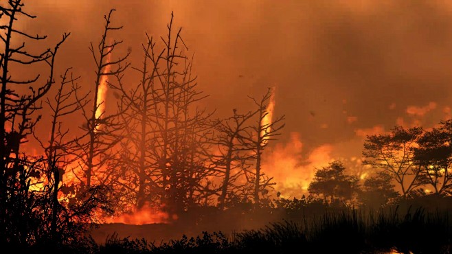 WildFire高清环路