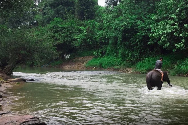 Field Notes: Finding Purpose in the Journey : Contributing Writer ...