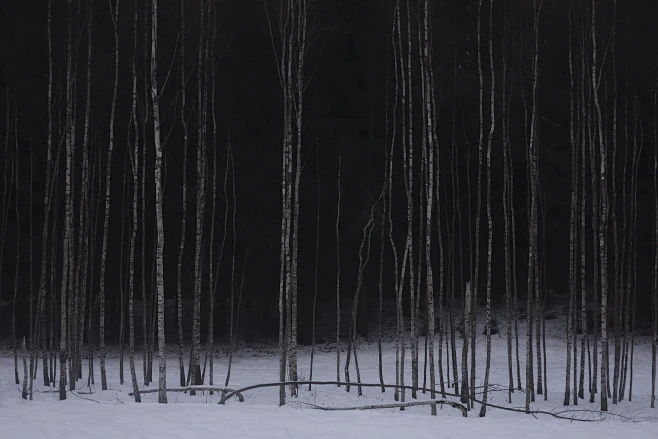 lietuva lithuania Nature Tree winter Mindaugas Buivydas tree art ...