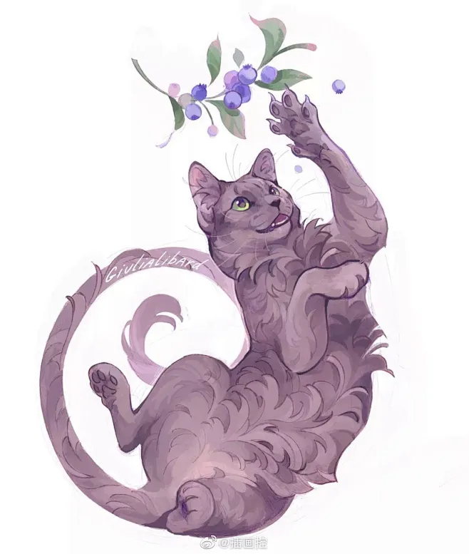 giulialibard图片_动物图片素材-花瓣网