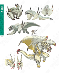 怪物猎人-花瓣网|陪你做生活的设计师 | e-capcom的照片 - 微相册-2