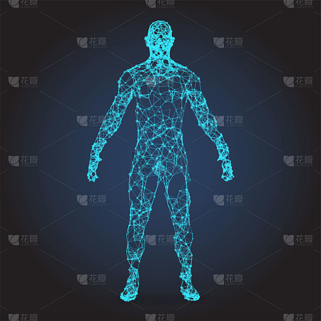 3D wire frame human body Polygonal Low Poly