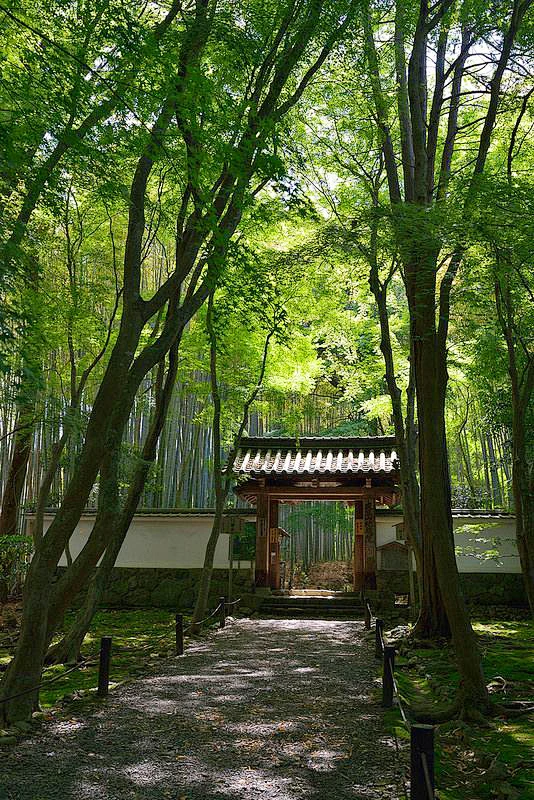 Jizo-in, Kyoto, Japan-花瓣网