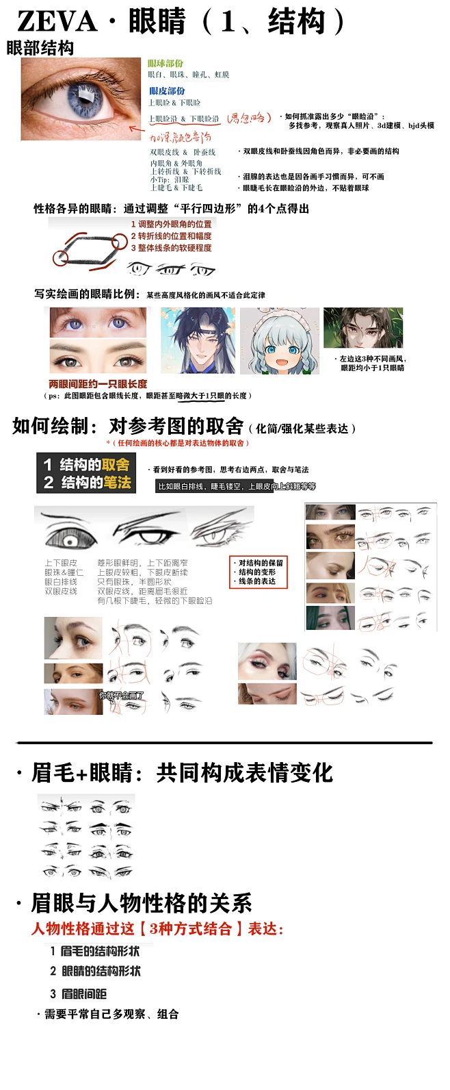 zeva-眼睛结构-花瓣网