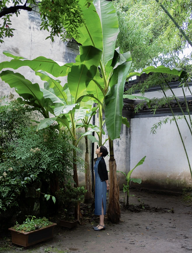 KX9ZM2PSZ5VVN图片_landscape图片素材-花瓣网