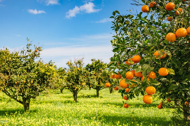 Prodalim Group : Prodalim Group is a global leader in the beverage ...