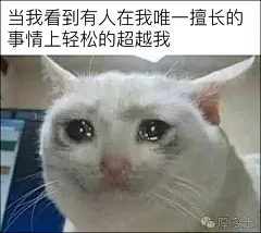 meme（梗图）图片大全-meme（梗图）高清好看的图片--花瓣超级无敌窝窝头的画板