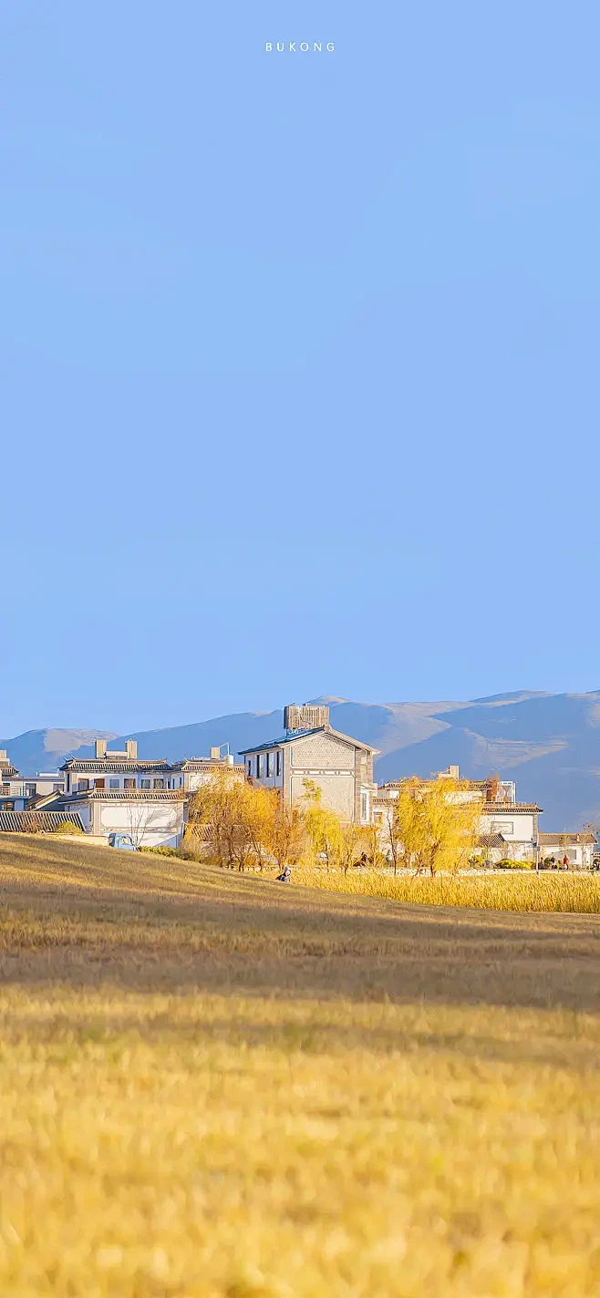 webp (19).webp-花瓣网