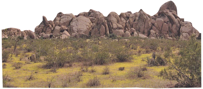 rocks-01-花瓣网