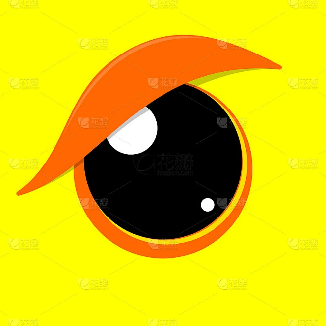 bird eye图片_其他图片图片素材-花瓣网