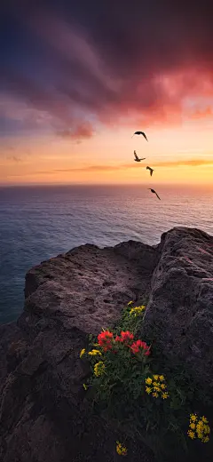 移动的城堡宫崎骏全屏手机壁纸图片-花瓣网