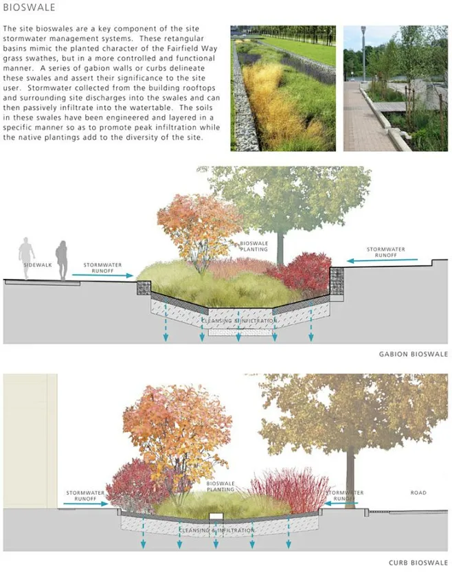 Bioswale concept diagrams // Diagrams by others-花瓣网