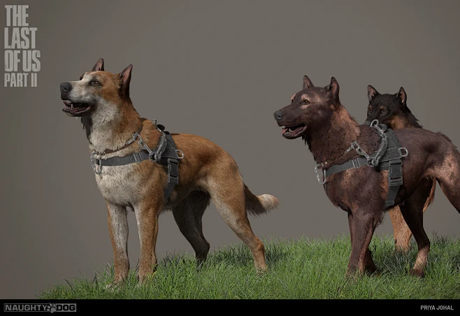 priya-johal-npc-dogs-01-花瓣网