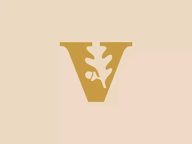 其中包括：Letter V Logo / Gold Logo / Minimalist Logo / Education Logo ...