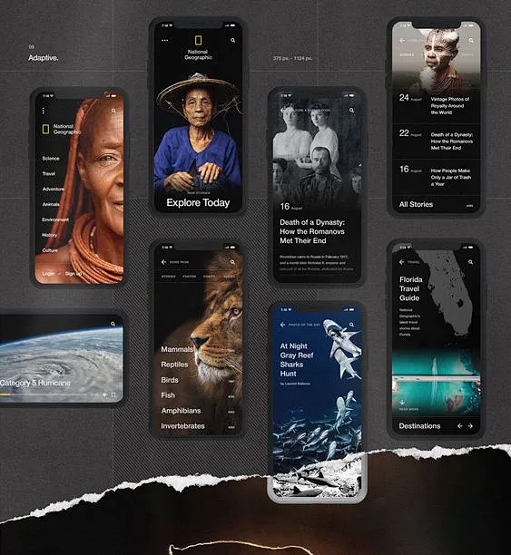 Web Design & UI/UX: National Geographic World Changing Intuitive Site-花瓣网